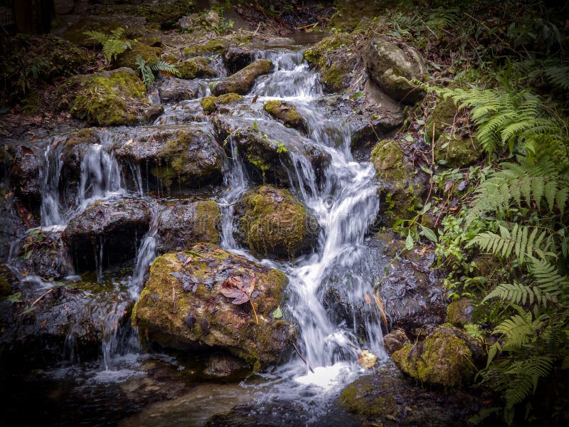 Relaxing waterfall stock image. Image of dunnellon, spring - 240341505