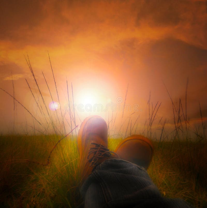 Relaxs stock image. Image of tree, nature, waiting, imagine - 53591689