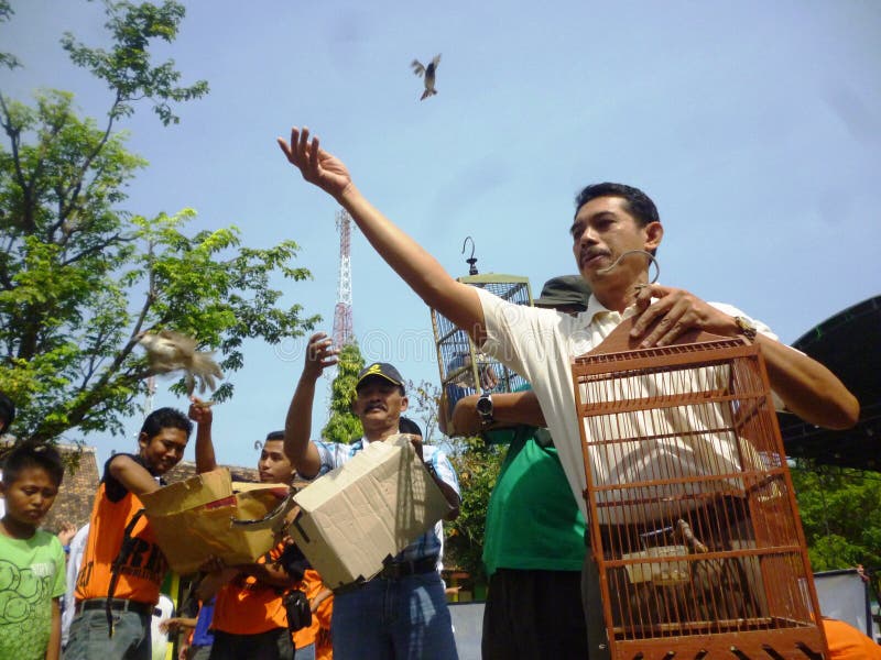Release the birds editorial stock photo. Image of asia - 43227903