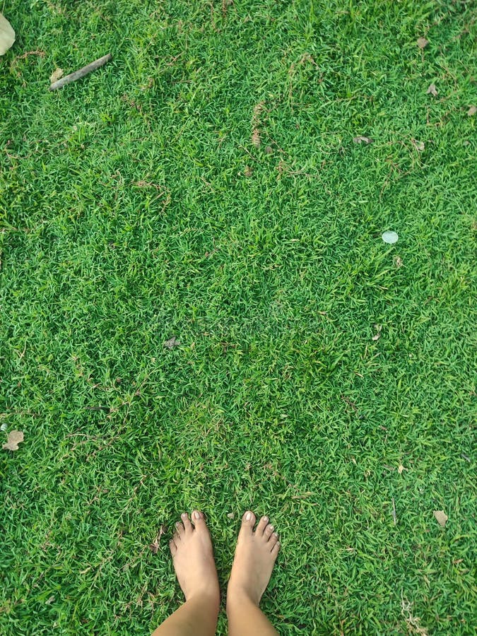 Release Stress by Grounding Yourself in the Grass Stock Image - Image ...
