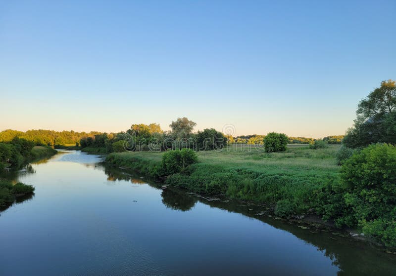 Smooth Still Water of a Pond with a Fish Swimming Below Stock Image ...