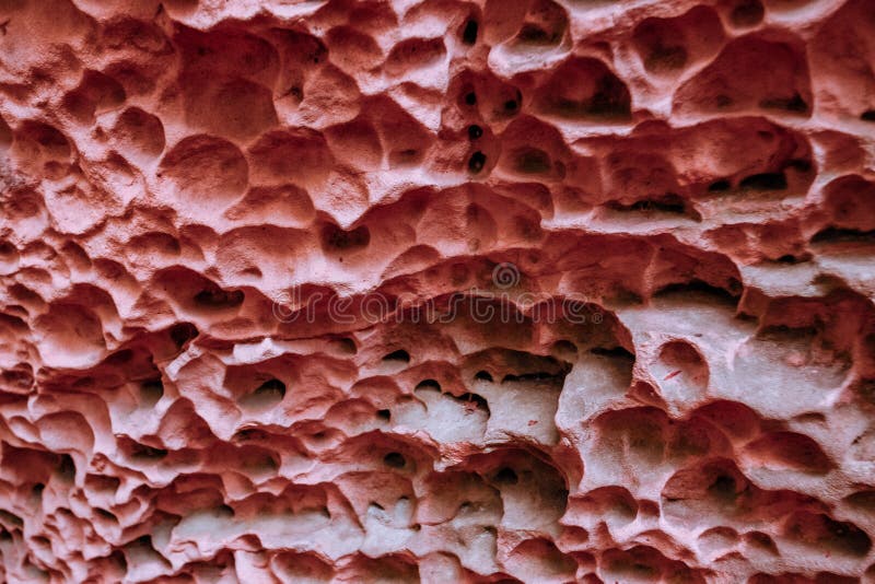Relief Eroded Stone Surface, Coral Colour Stock Photo - Image of light ...
