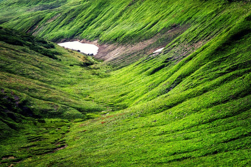Relief Landscape of Green Grass Stock Image - Image of folds, summer ...