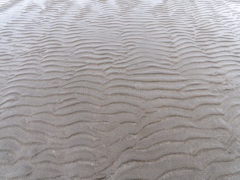 Relief on a Sandy Beach, Full Frame. Wavy Pattern Stock Image - Image ...