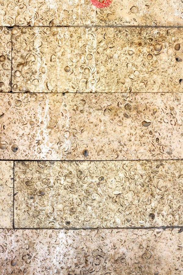 Relief Sandy Stone Wall. Textural Vertical Background Stock Image ...