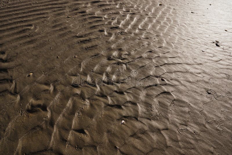 Relief surface of wet sand stock photo. Image of sandy - 163082650