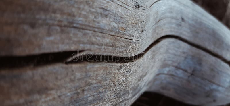 Relief Texture of the Dark Brown Bark of a Tree. Horizontal Photo of a ...