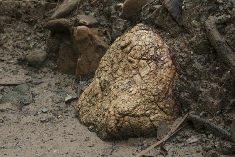 Relief and Texture of Wet Stone Stock Image - Image of material, nature ...