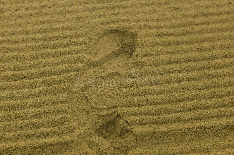 A Relief Trace of a Sneaker on a Soft Surface of Smoothed and Cleaned ...