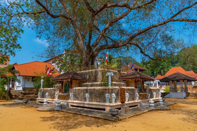 Religious Complex in Front of the Temple of the Sacred Tooth Rel Stock ...