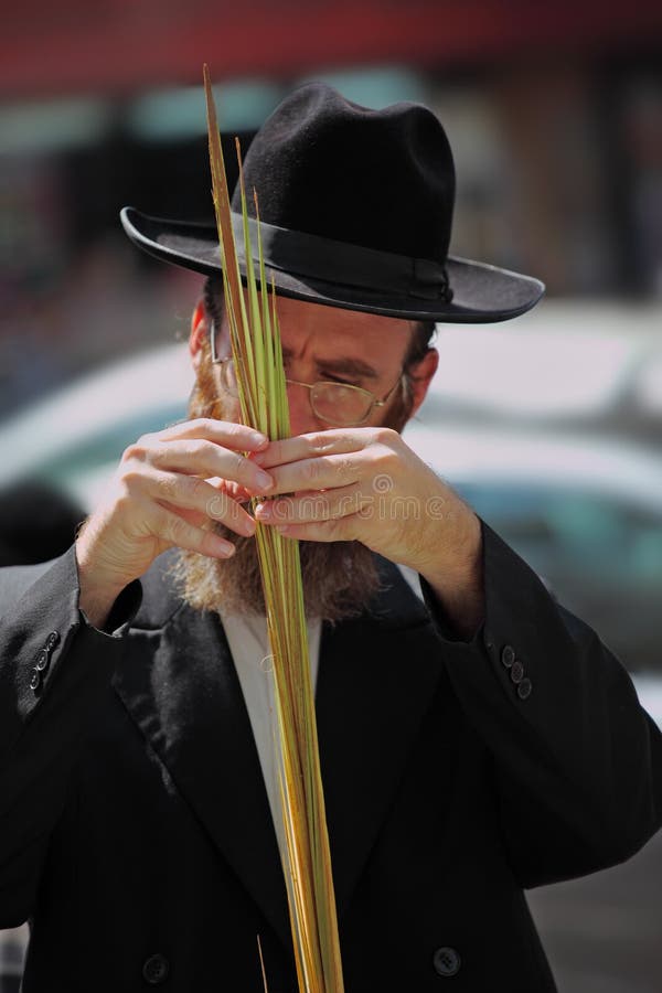 The Religious Jews are Choosing Lulav Editorial Stock Photo - Image of ...
