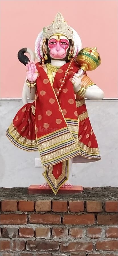 Picture of Indian Macaque Monkeys Stock Photo - Image of macaque, green ...