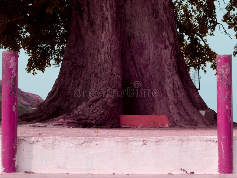 Religious Tree on Center Frame Stock Image - Image of heritage ...