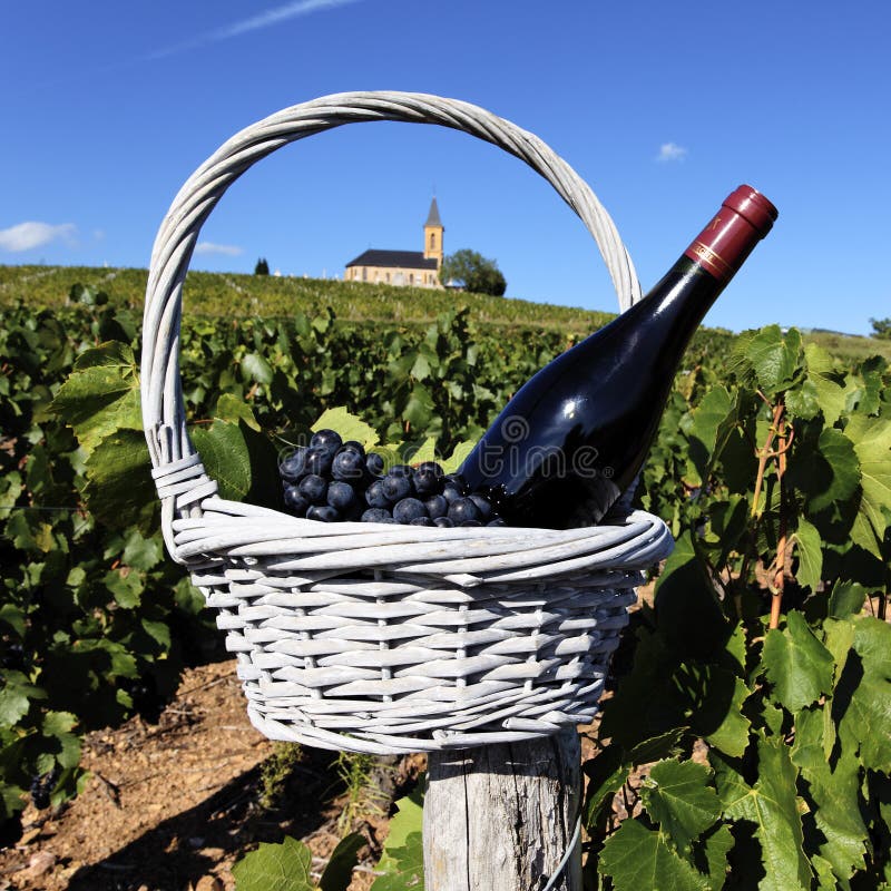 Religious wine stock image. Image of grapevine, harvest - 21657981