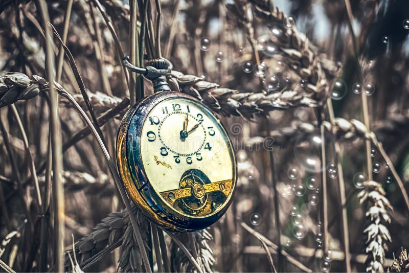 Reloj De Bolsillo Antiguo Roto En Trigo Foto de archivo - Imagen de ...
