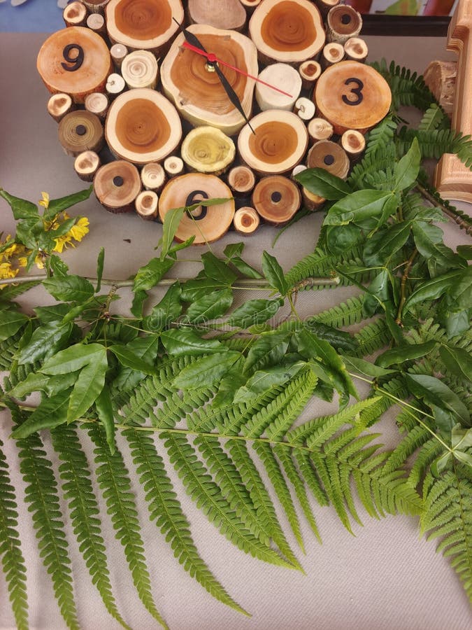 Reloj de madera con hojas imagen de archivo. Imagen de reloj - 286572531