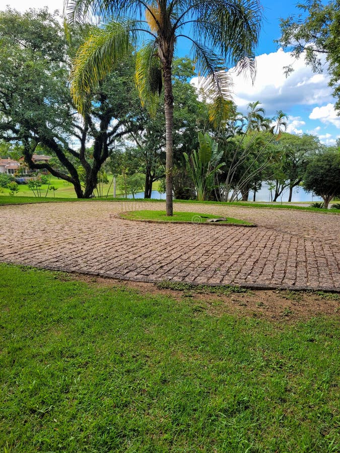 Relva verde em brasil foto de stock. Imagem de ecologia - 251312248