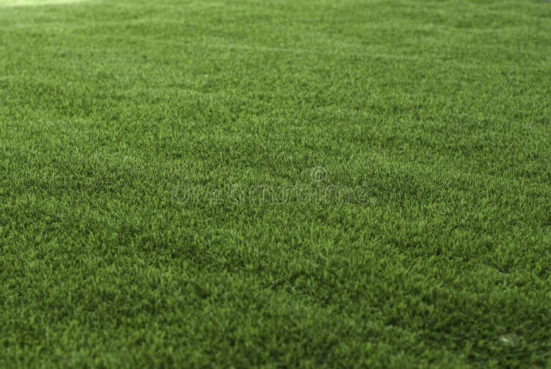 Relvado foto de stock. Imagem de procedimento, flora - 11135474
