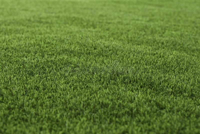 Relvado foto de stock. Imagem de verde, grama, jardim - 11135774