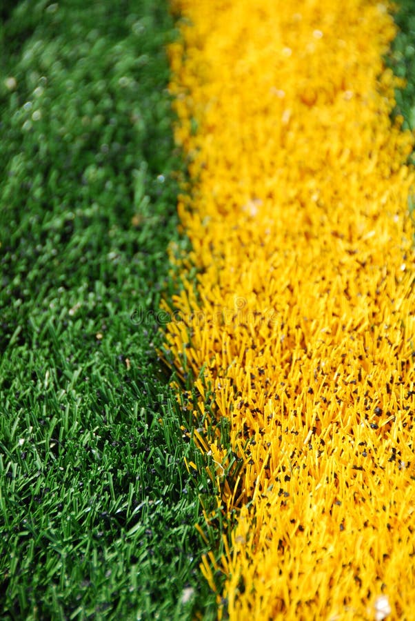 Relvado imagem de stock. Imagem de jogos, esporte, amarelo - 5568953