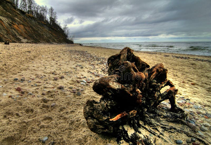Remaining after storm stock image. Image of gale, remnants - 8625651