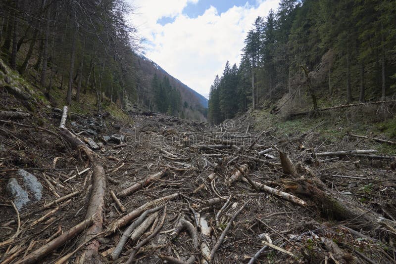 1,812 Deforestation River Forest Stock Photos - Free & Royalty-Free ...