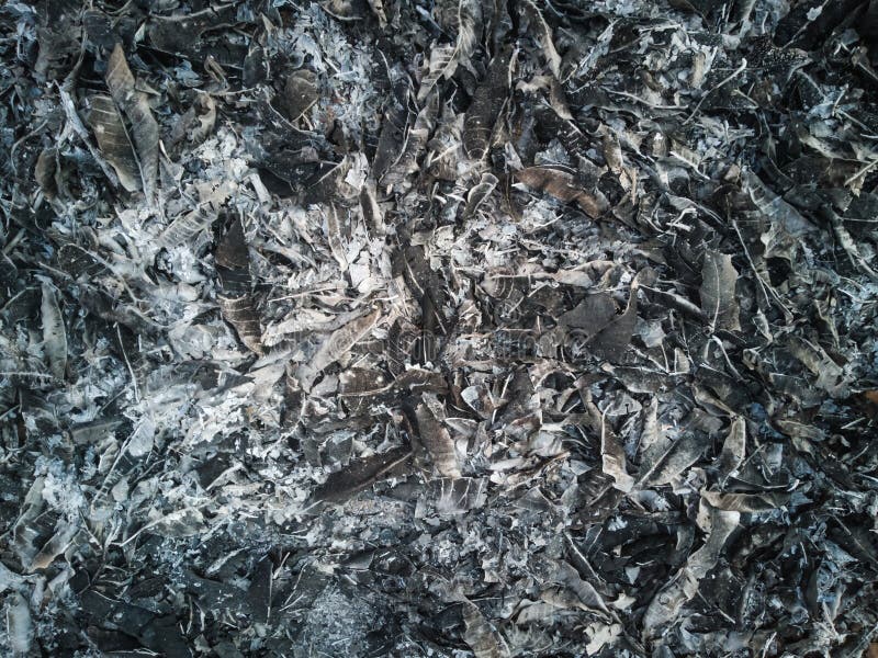 The Remains of Fire, Leaf Debris and Grass Debris Stock Image - Image ...