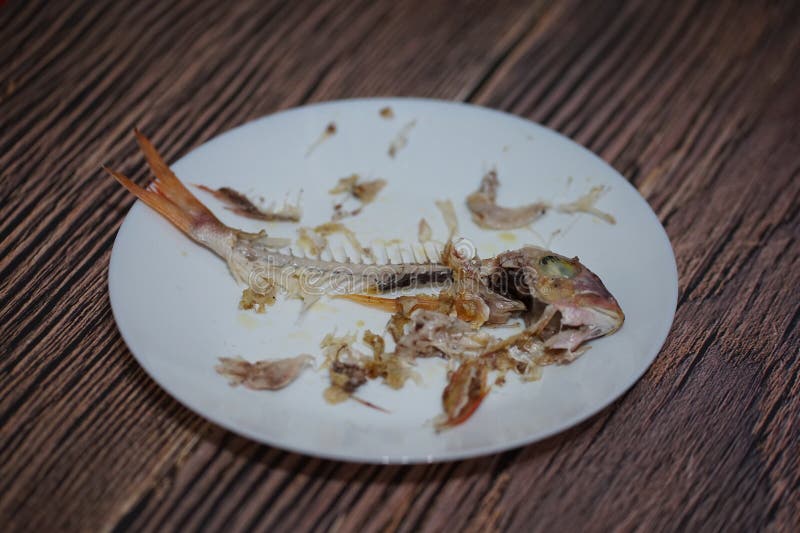 Remains of Fish on the Plate after Eating Stock Photo - Image of eating ...
