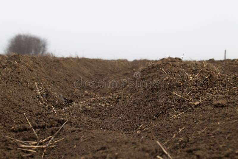 Remains of a furrow stock photo. Image of dirt, furrow - 38189658