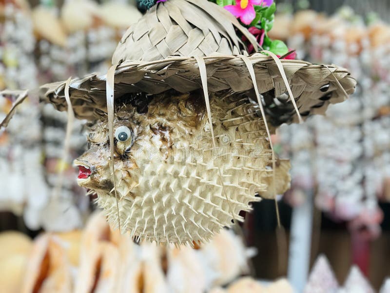 The Remains of an Inflatable Puffer Fish Hanging in Front of a Store ...