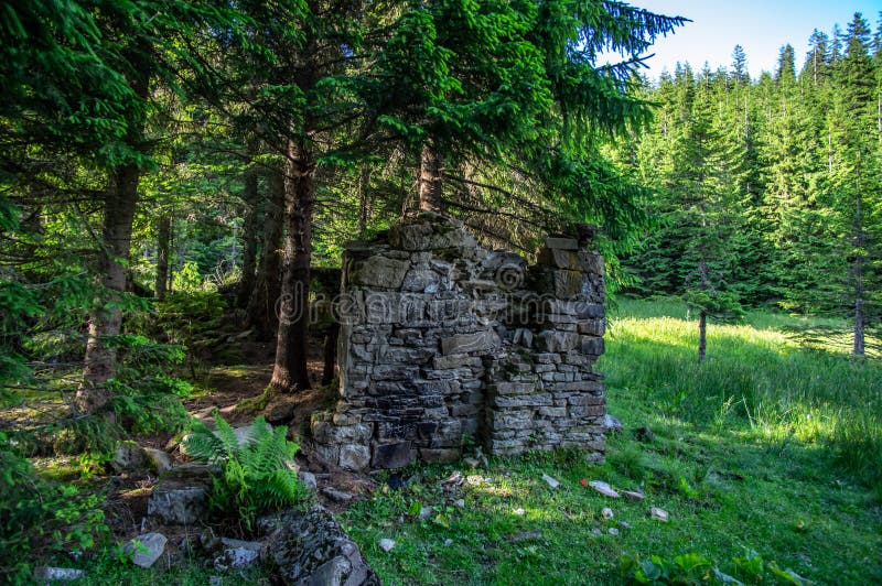 Remains of Old Destroyed Buildings in the Forest Stock Image - Image of ...