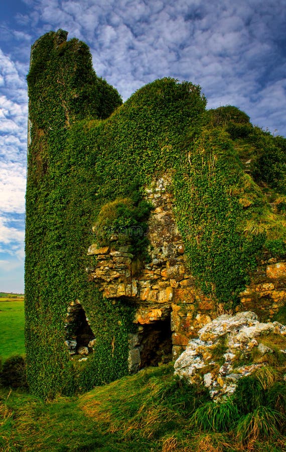 Castle overgrown with ivy editorial stock image. Image of architecture ...