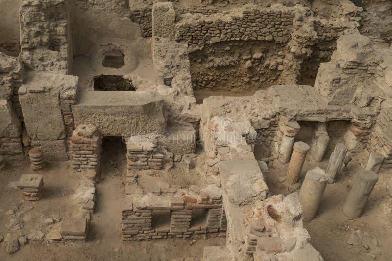 Amilias Flowers Stock Photos - Free & Royalty-Free Stock Photos from ...