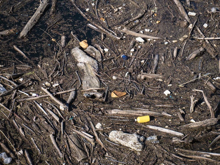 Remains of Trees, Trunks, Branches, Vegetation and Garbage in a River ...