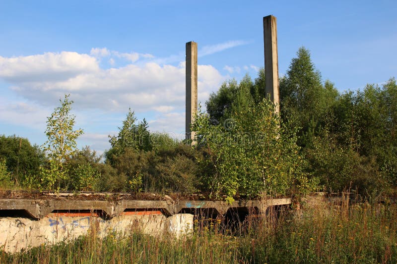 The Remains of an Unfinished Building in the Thicket in the Middle of ...
