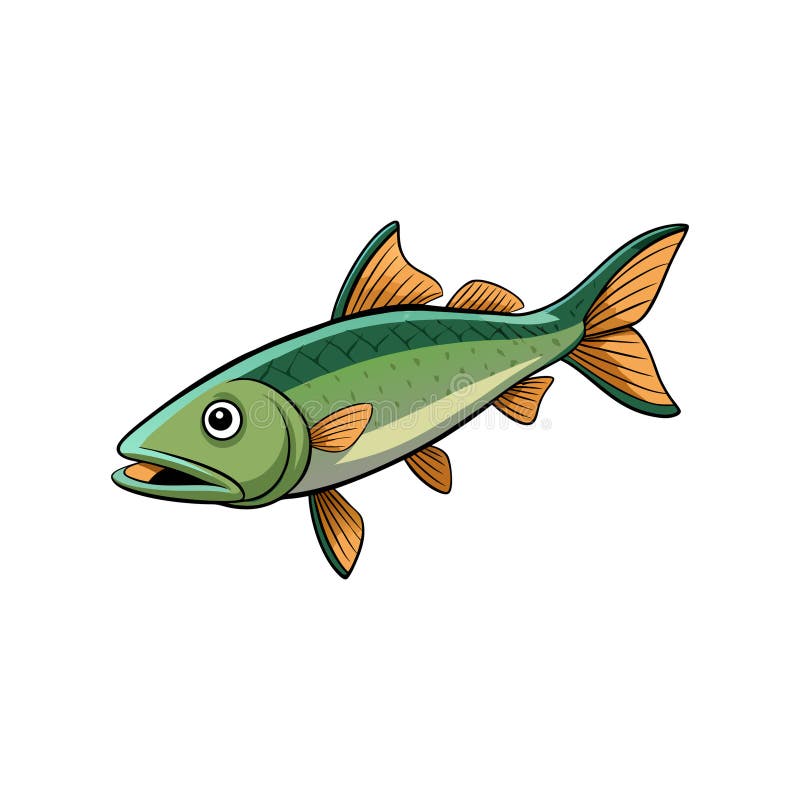 Remarkable Bowfin Fish Bright Colorful Display Stock Illustration ...
