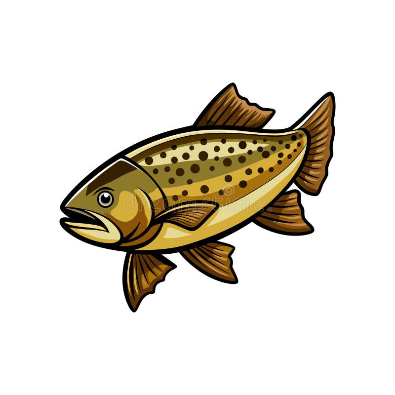 Remarkable Brown Trout Colorful Representation Stock Image ...