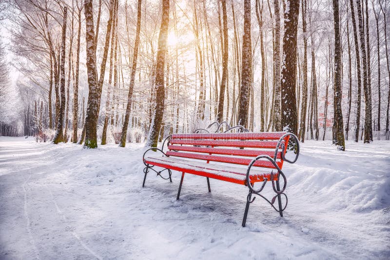 Remarkable View of Park Bench and Trees Covered by Heavy Snow Stock ...