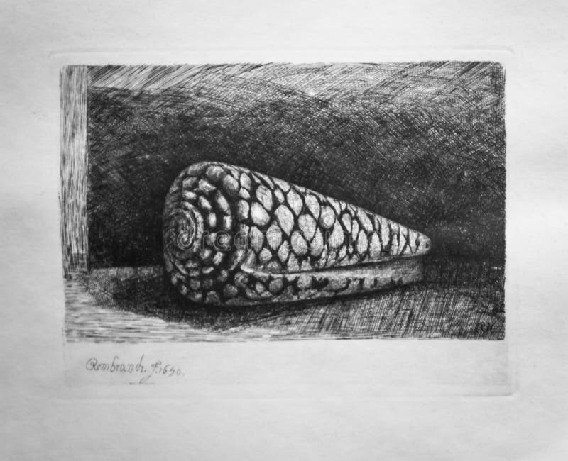 Rembrandt Van Rijn Prints, the Shell Editorial Image - Image of 1665 ...