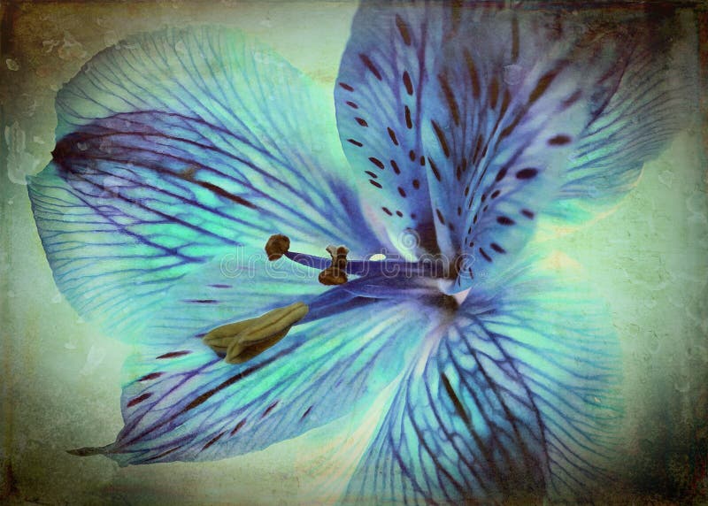 Remember the Good Times stock photo. Image of leaf, plant - 388210390