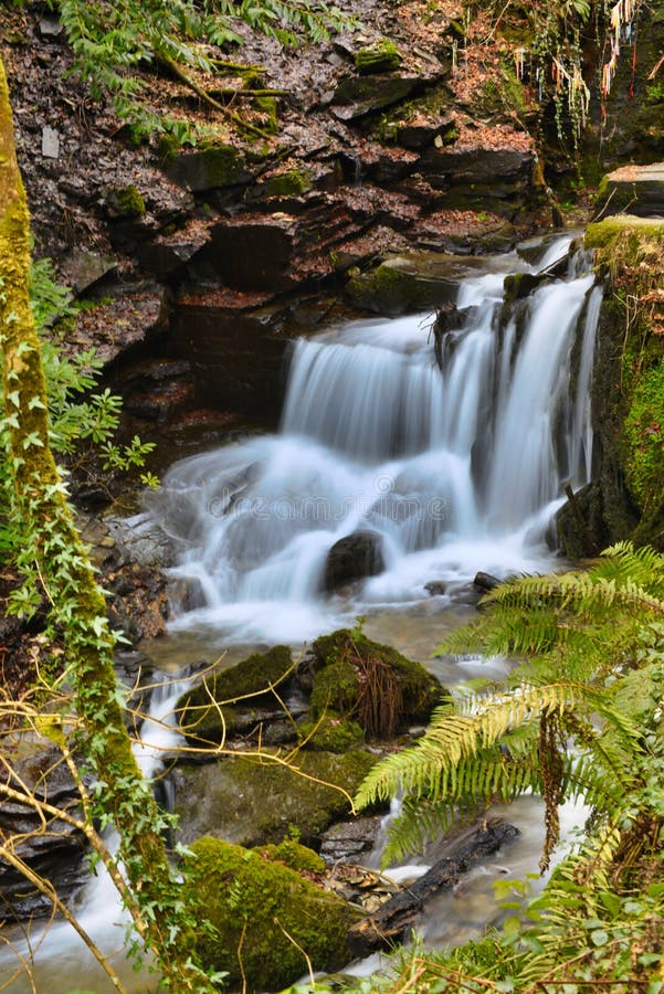 Rememberance Waterfall in Cornwall Stock Image - Image of wilderness ...