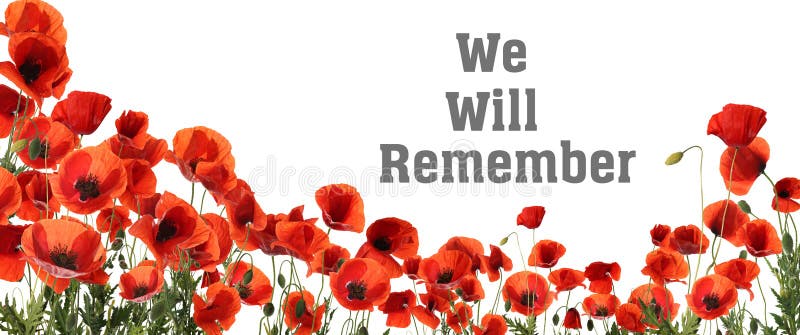 Remembrance Day Card. Red Poppy Flower and Text Lest we Forget on White ...