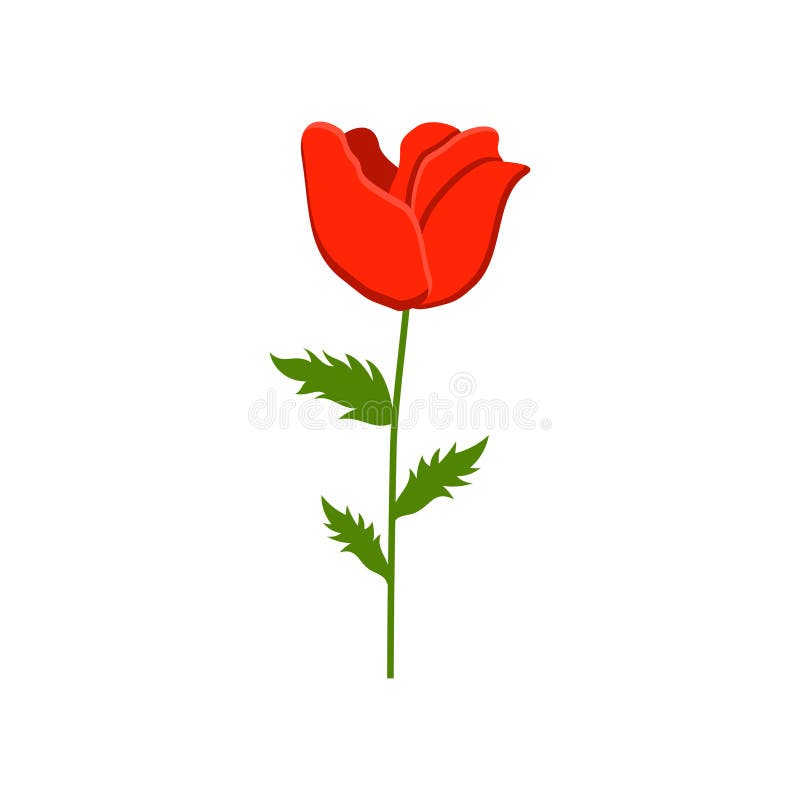 Remembrance Day Flower Element Vector Design Stock Vector ...