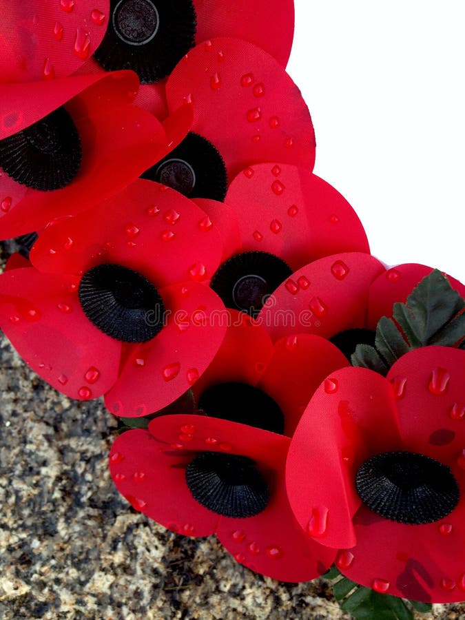 Remembrance Day Poppy Wreath Stock Photo - Image of scene, poppy: 245376684
