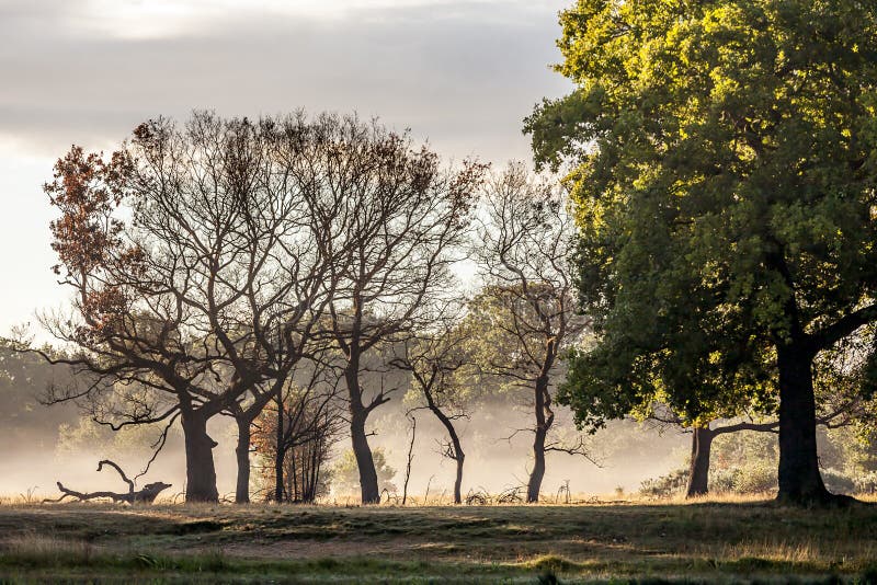 Epping Fire Station Stock Photos - Free & Royalty-Free Stock Photos ...