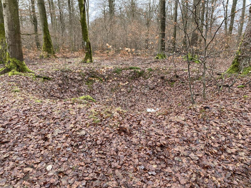 Remnant of an Old Wolf Pit As Used 1500 To Hunt Wolfs in Germany in the ...