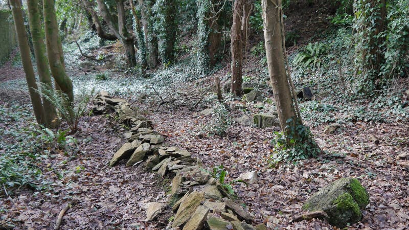 Remnants of an Ancient Stone Structure in a Dense Jungle Clearing Stock ...
