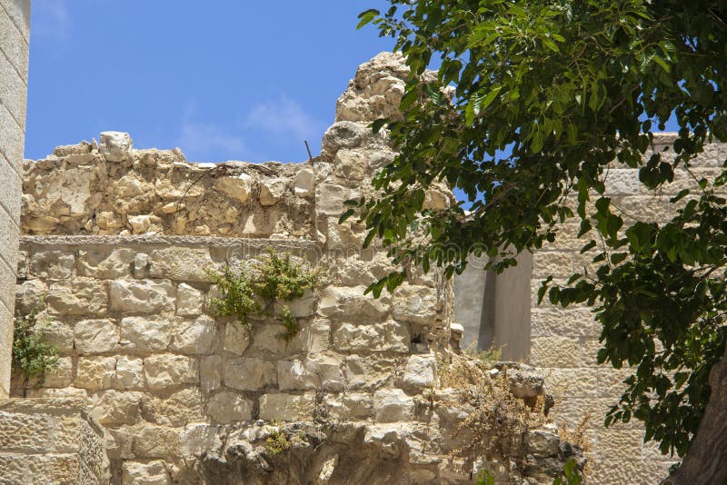 Remnants of an Ancient Wall in Jerusalem Stock Image - Image of tree ...