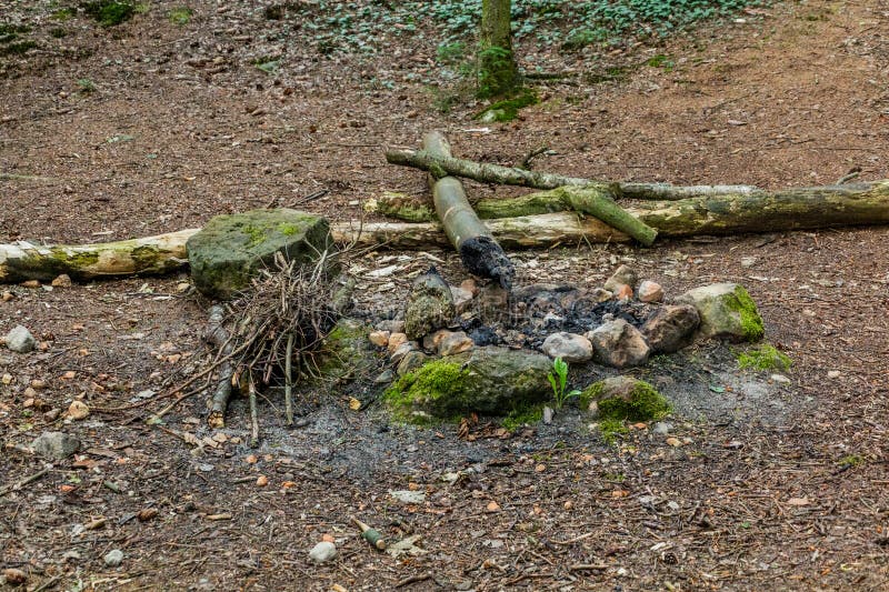 Remnants of a Campfire in a Forest in the Czech Republ Stock Photo ...