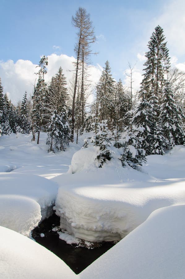 The Remnants of a Creek in Winter Stock Photo - Image of alpine ...
